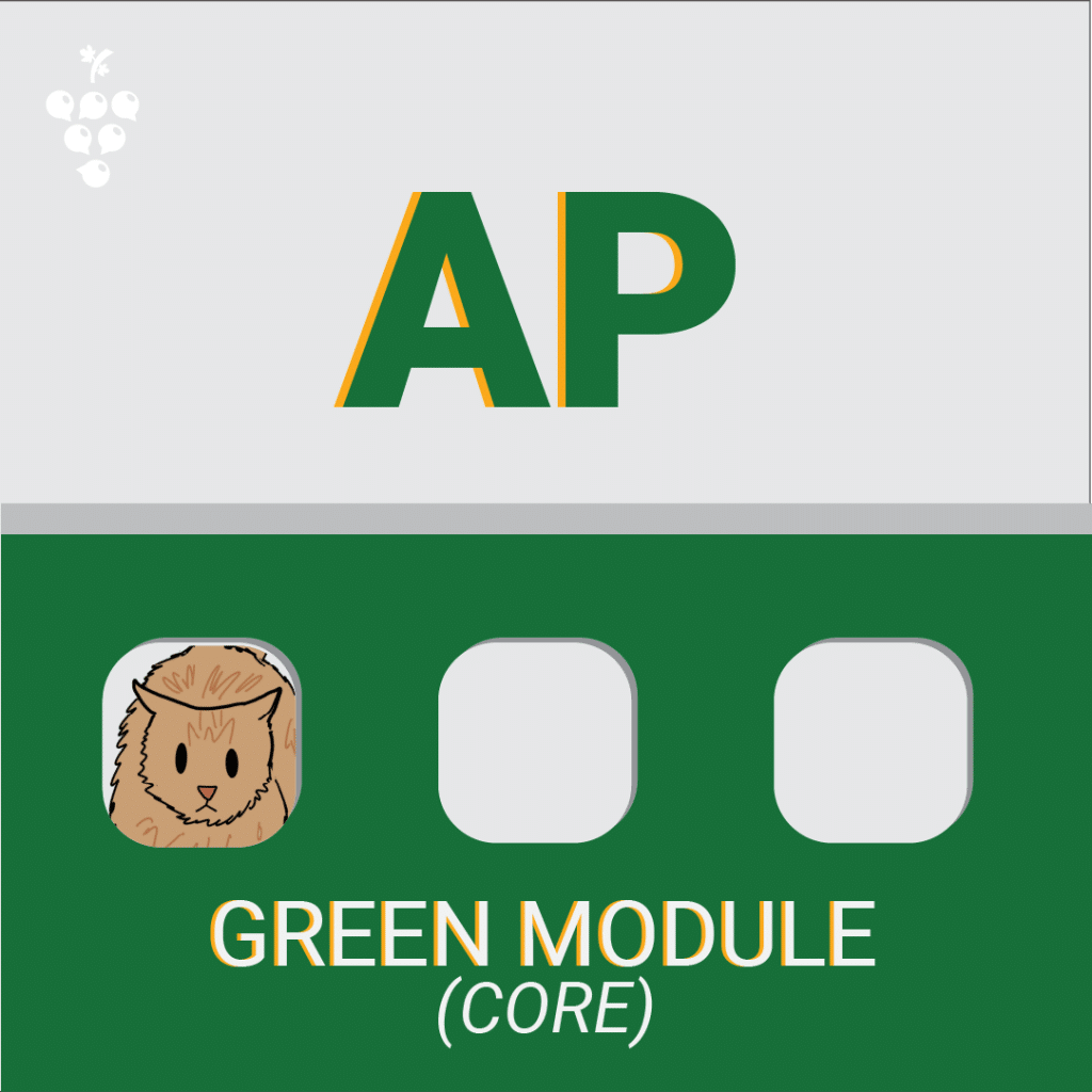 American School Program - 800 SAT - American & British Programs