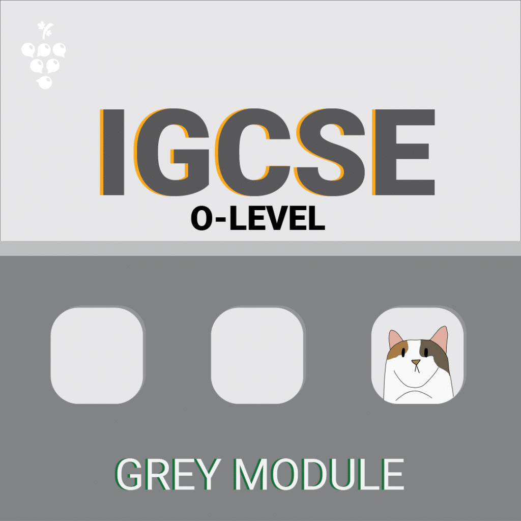 IGCSE O-Level Archives - 800 SAT - American & British Programs