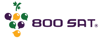 The Advanced Placement (AP) Exam - 800 SAT - 800 SAT - American ...