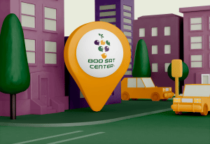 800 SAT - American & British Programs