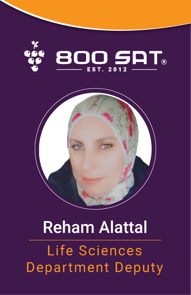 Our Team - 800 SAT - American & British Programs