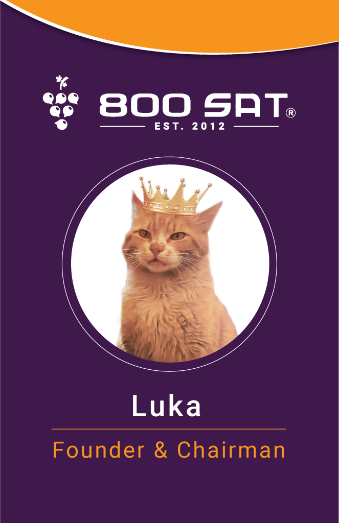 Our Team - 800 SAT - American & British Programs