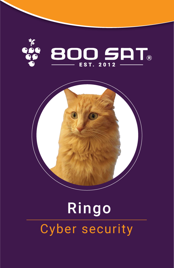 Our Team - 800 SAT - American & British Programs