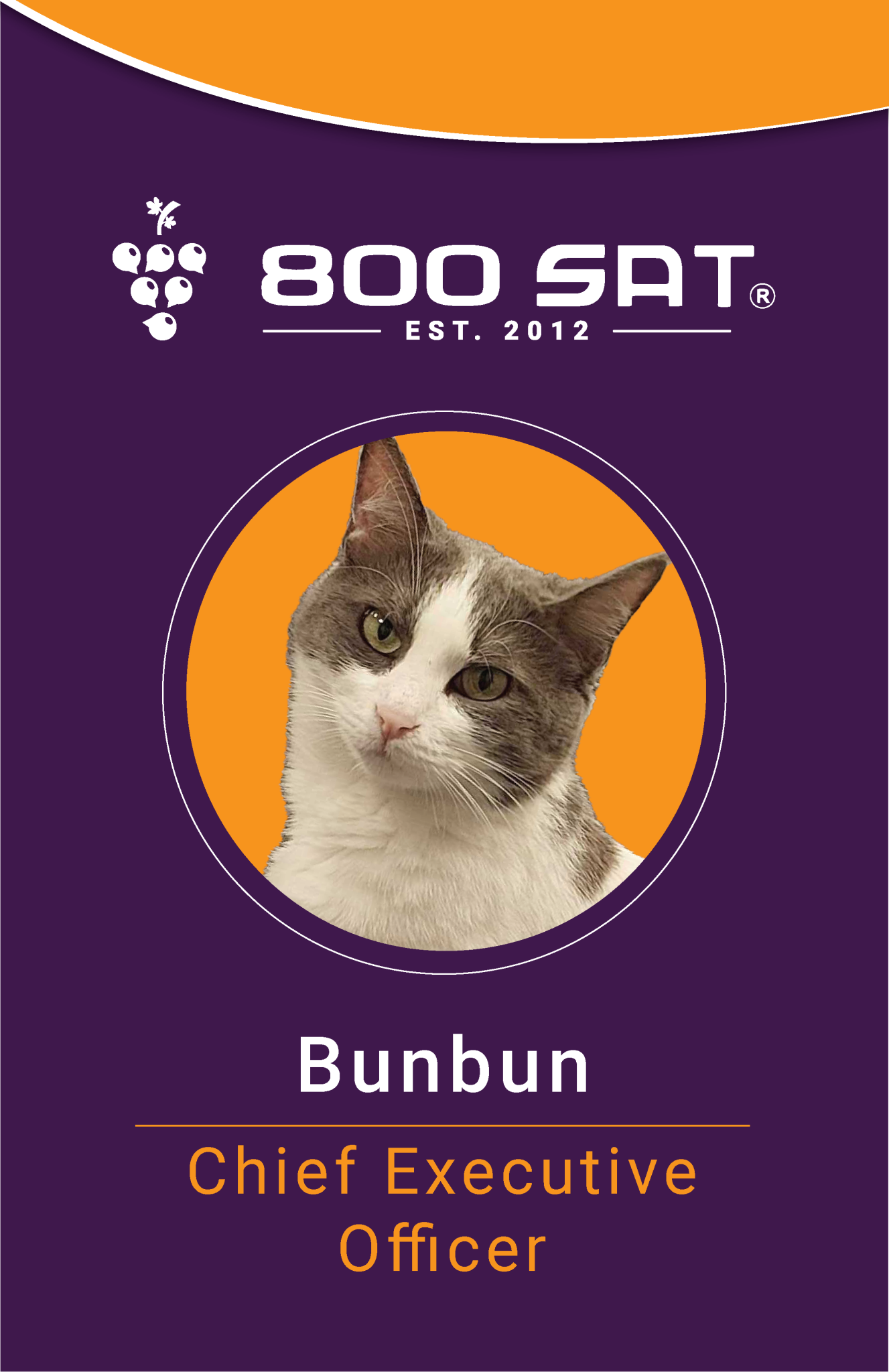 Our Team - 800 SAT - American & British Programs