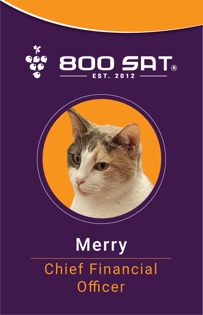 Our Team - 800 SAT - American & British Programs